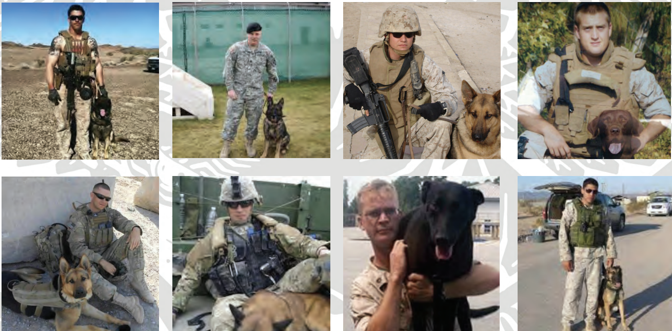 Military Working Dog Handlers / Global War on Terror - Carry The Load